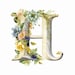 Letter H Clipart, 10 High Quality Jpgs, Nursery Art, Instant Digital ...
