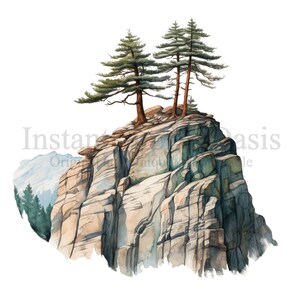 Pine Trees on Cliff Clipart, 10 High Quality Pngs, Botanical Art ...