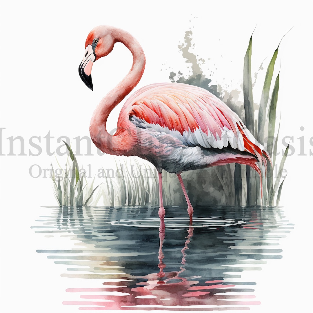 Flamingo Clipart, 10 High Quality Jpgs, Nursery Art | Card Making, Clip ...