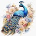 Floral Peacock Clipart, 10 High Quality Jpgs, Nursery Art, Card Making ...