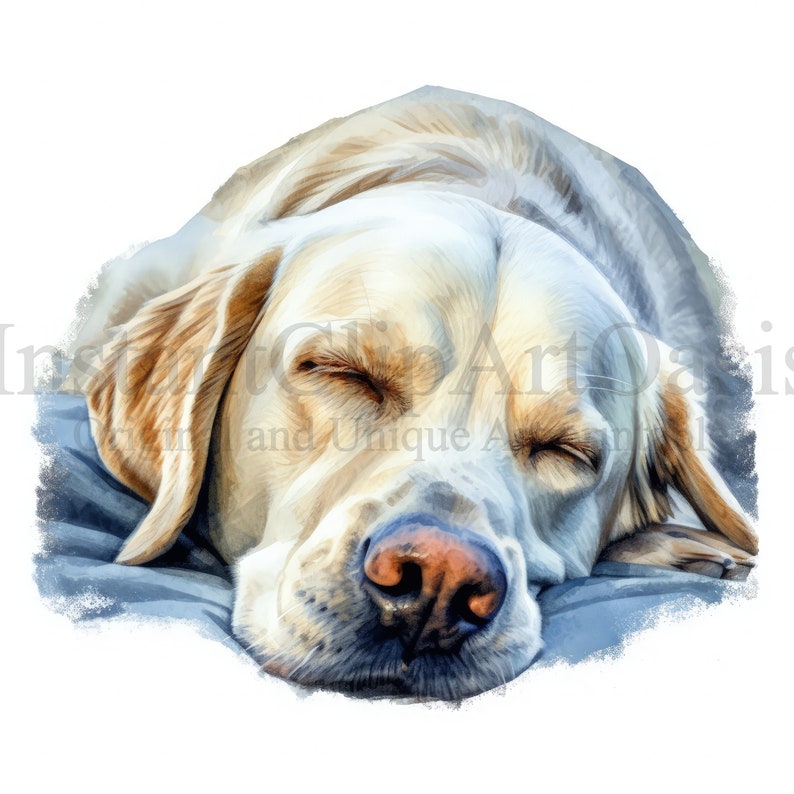 Sleeping Labrador Clipart, 10 High Quality Jpgs, Nursery Art, Digital ...