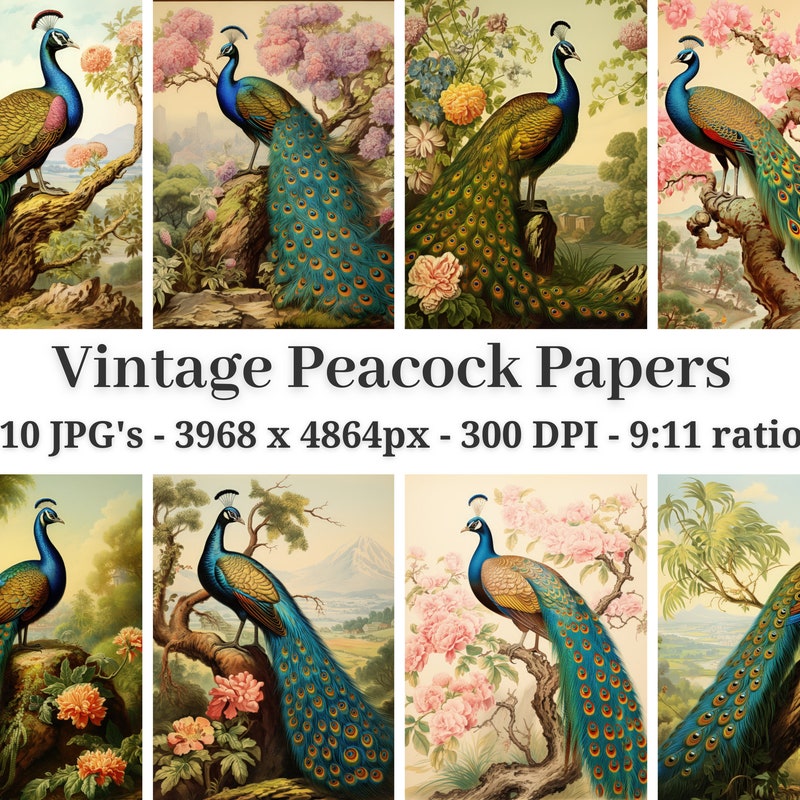 Peacock Papers - Etsy