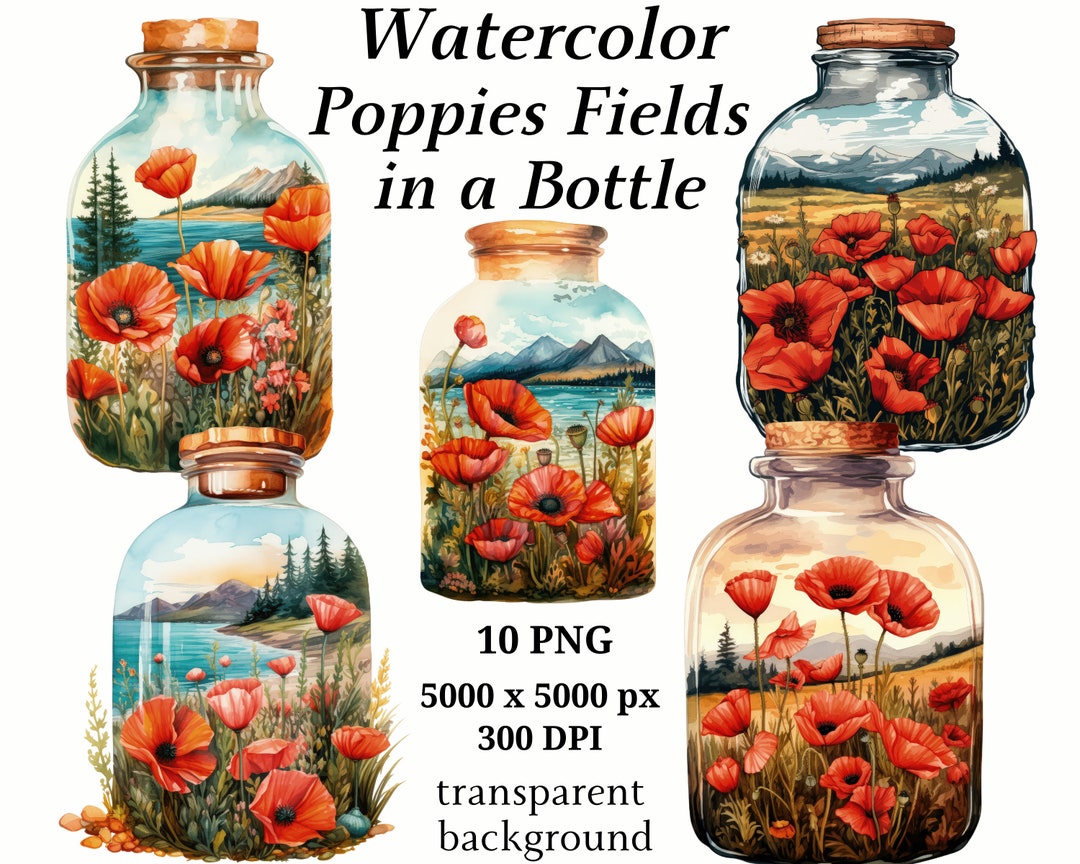 Poppies Fields in a Bottle Clipart, 10 High Quality Pngs, Poppy Clipart ...