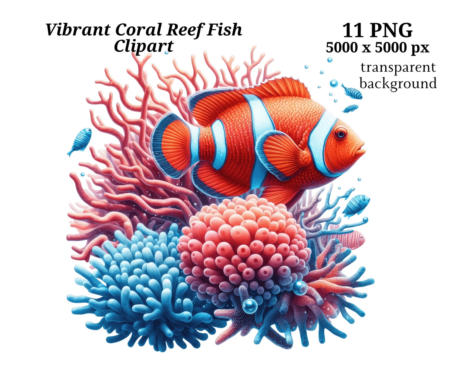 Vibrant Coral Reef Fish Clipart - 11 Pngs - Digital Download, Marine ...