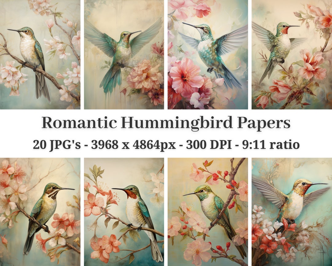 Romantic Hummingbird Papers, 20 High Quality Jpgs, Vintage Illustration ...