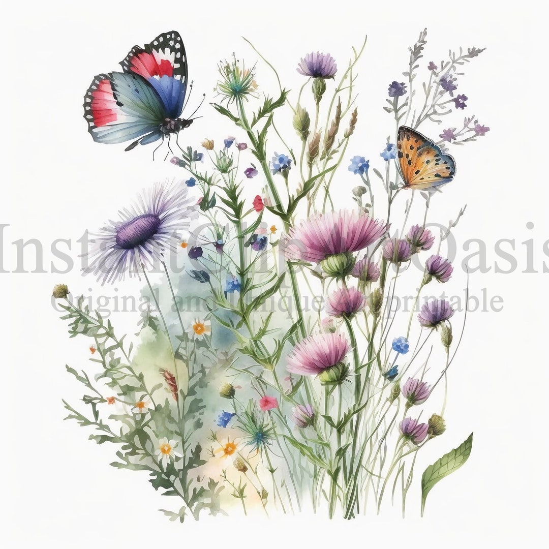 Wildflowers Clipart, 10 High Quality Jpgs, Botanical Art, Digital ...