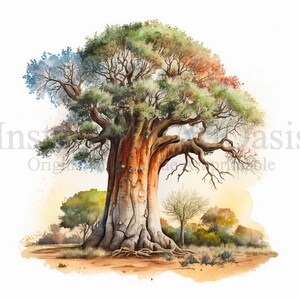 Baobab Clipart, 10 High Quality Jpgs, Botanical Art, Digital Download ...