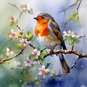 Spring Robin Clipart, 10 High Quality Jpgs, Nursery Art, Instant ...