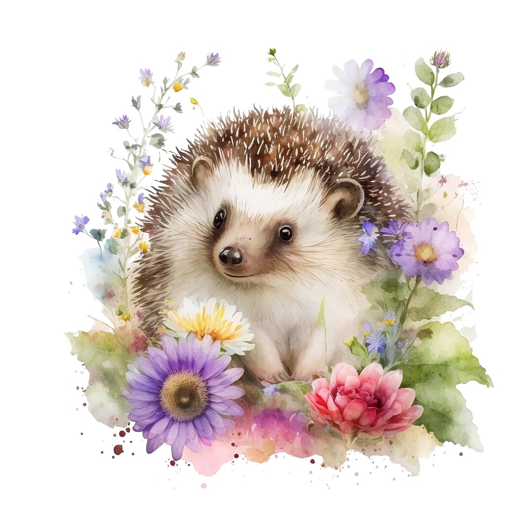 Floral Hedgehog Clipart 10 High Quality Pngs Nursery Art - Etsy