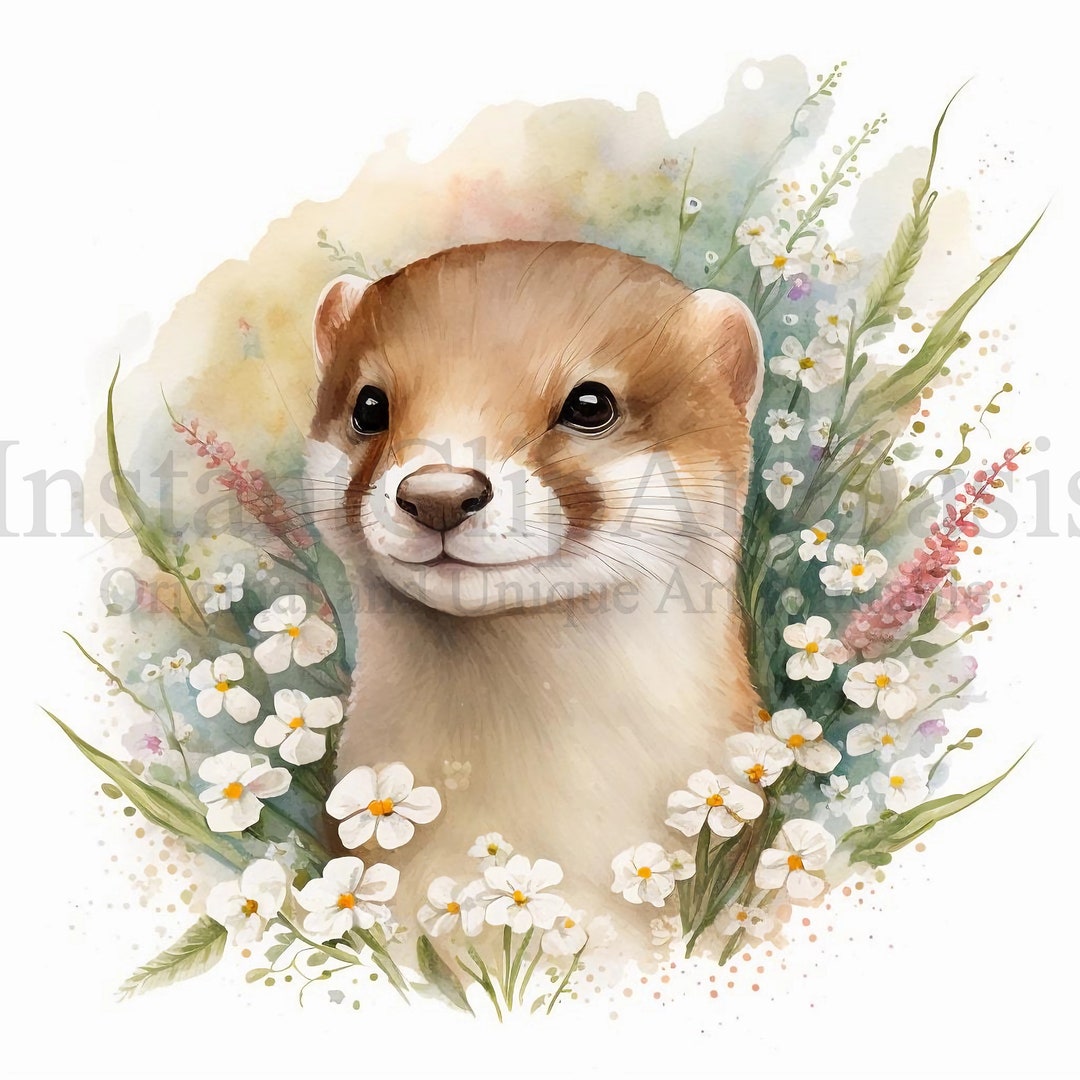 Cute Weasel Clipart, 10 High Quality Jpgs, Nursery Art, Digital Planner ...