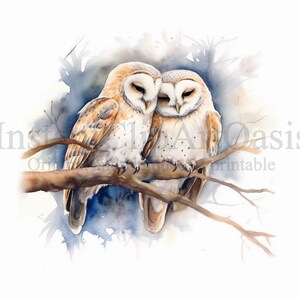 Sleepy Owls Clipart, 12 High Quality Jpgs, Nursery Art | Card Making ...