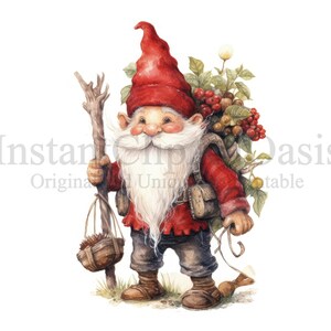 Fancy Gnomes Clipart, 10 High Quality Jpgs, Nursery Art, Digital ...