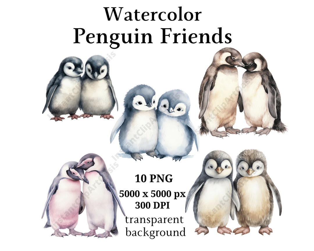 Penguin Friends Clipart, 10 High Quality Pngs, Nursery Art | Card ...
