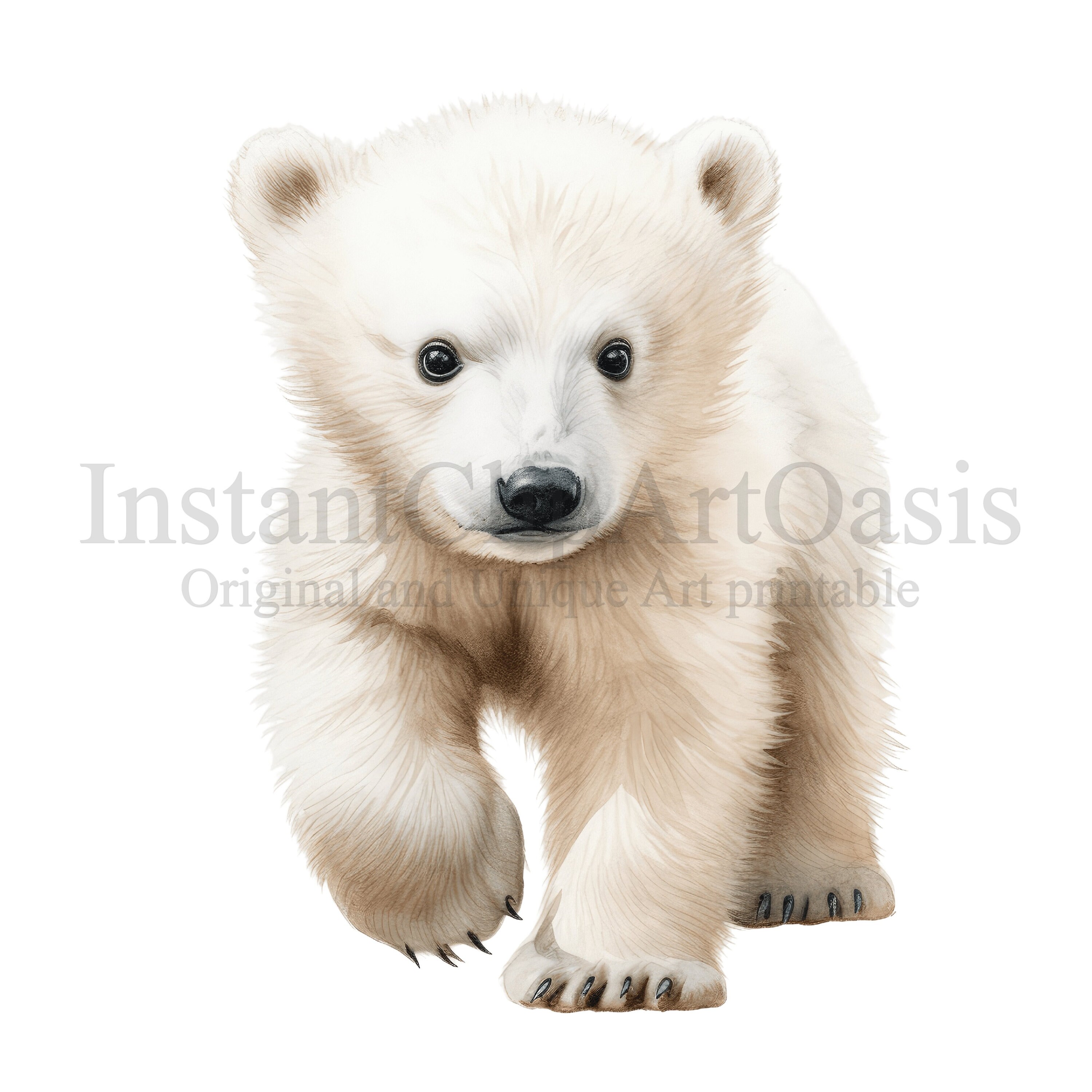 Polar Bear Cub Clipart, 10 High Quality Pngs, Digital Planners, Junk ...