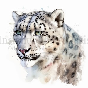Snow Leopard Clipart, 10 High Quality Jpgs, Nursery Art, Instant ...