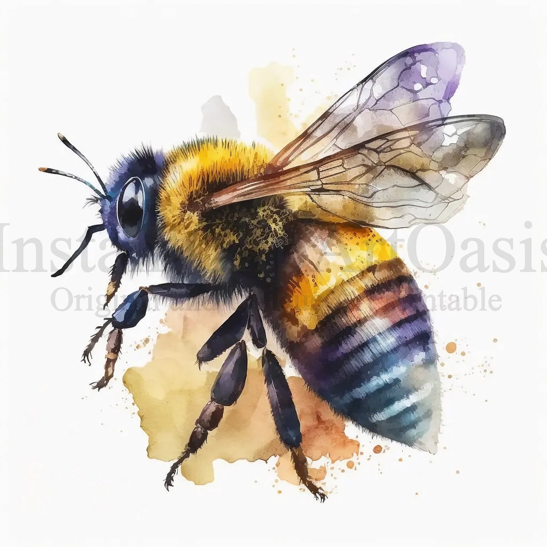Bumblebee Clipart, 7 High Quality Jpgs, Nursery Art | Card Making, Clip ...