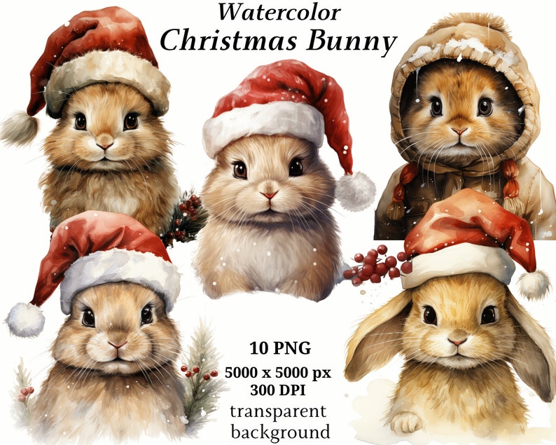 Christmas Bunny Clipart, 10 High Quality Pngs, Christmas Clipart, Card ...