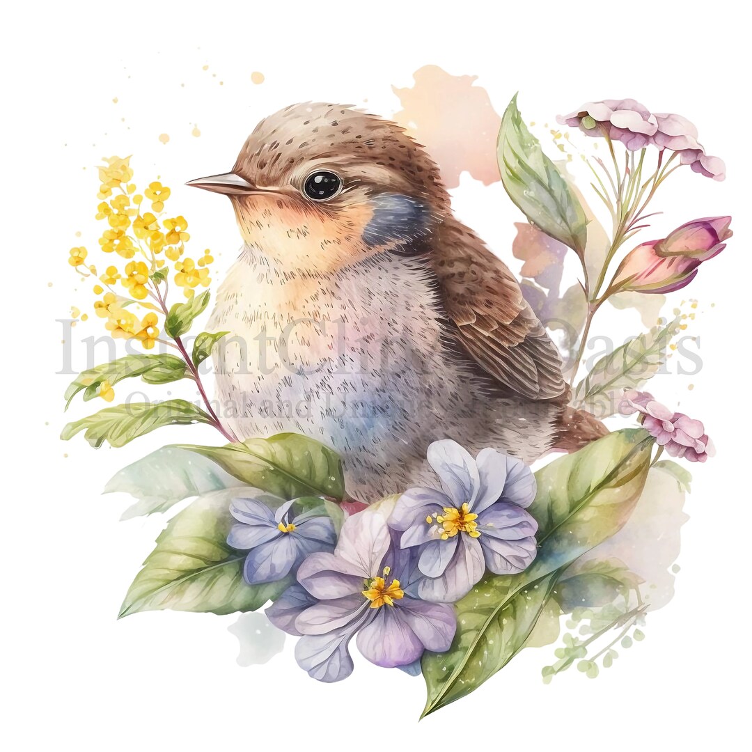 Cute Bird Clipart, 10 High Quality Pngs, Nursery Art, Instant Digital ...
