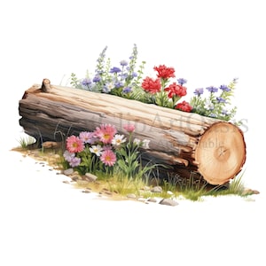 Wildflowers on Log Clipart - 10 High Quality Pngs, Digital Download ...