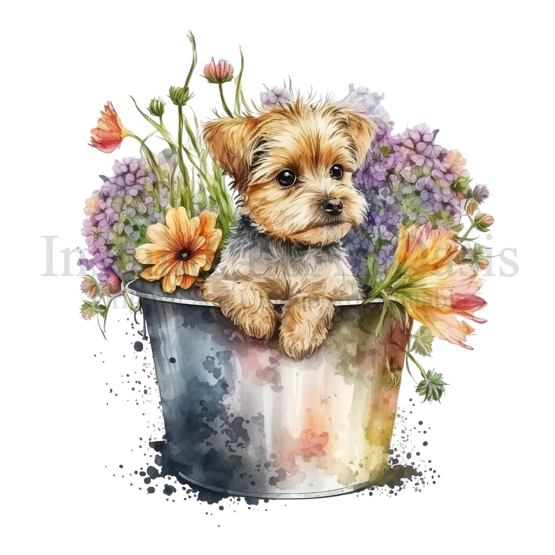 Dogs in a Bucket Clipart, 8 High Quality Pngs, Digital Download, Card ...