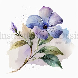 Blue Flowers Clipart, 10 High Quality Jpgs, Botanical Art, Digital ...
