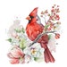 Red Cardinal Clipart, 10 High Quality Pngs, Nursery Art, Digital ...
