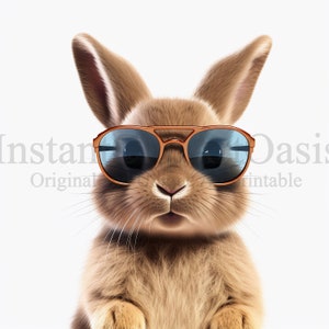 Cool Bunnies Clipart, 10 High Quality Jpgs, Nursery Art, Digital ...
