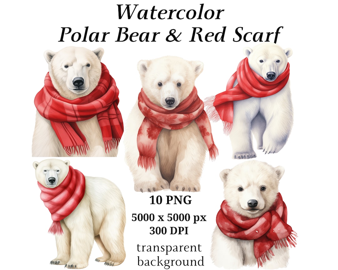 Polar Bear & Red Scarf Clipart - 10 High Quality Pngs, Watercolor Bear ...