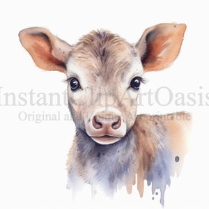 Veal Clipart, 10 High Quality Jpgs, Digital Download, Card Making ...