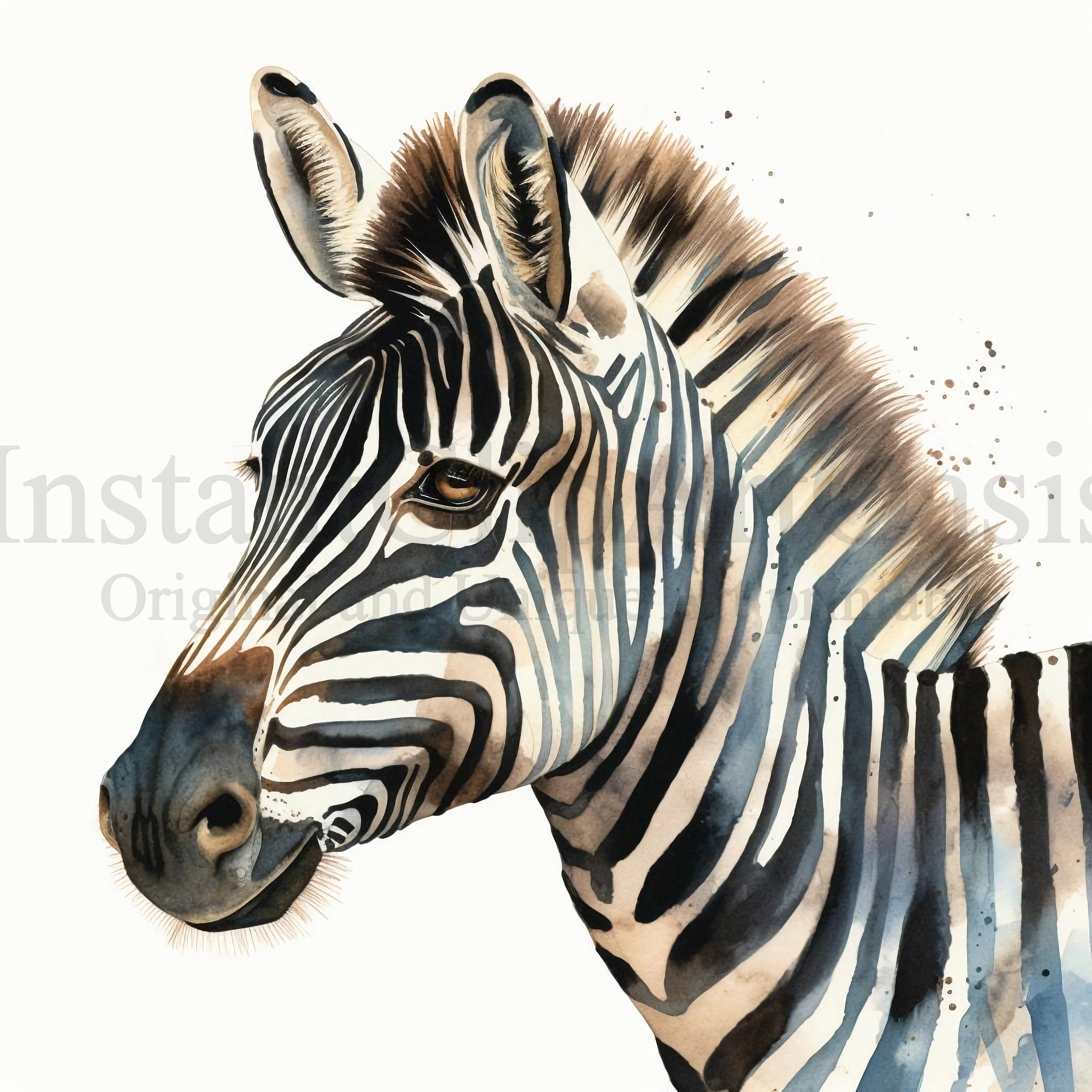 Zebra Clipart, 10 High Quality Jpgs, Nursery Art, Instant Digital ...