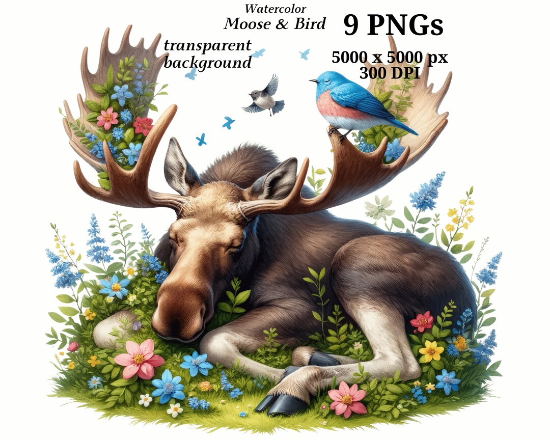 Moose & Bird Clipart, 9 High Quality Pngs, Nursery Art, Digital ...
