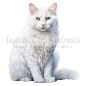 White Cats Clipart, 10 High Quality Pngs, Nursery Art, Digital Download ...