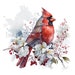 Red Cardinal Clipart, 10 High Quality Pngs, Nursery Art, Digital ...