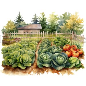 Vegetable Garden Clipart, 10 High Quality Jpgs, Farmyard Clipart ...