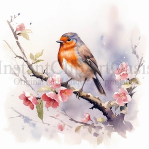 Spring Robin Clipart, 10 High Quality Jpgs, Nursery Art, Instant ...