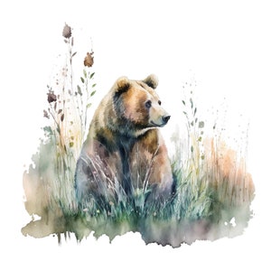 Bear in a Meadow Clipart, 9 High Quality Pngs, Digital Download, Card ...