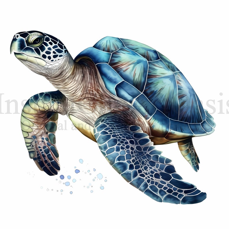 Sea Turtle Clipart 10 High Quality Jpgs Nursery Art Card - Etsy