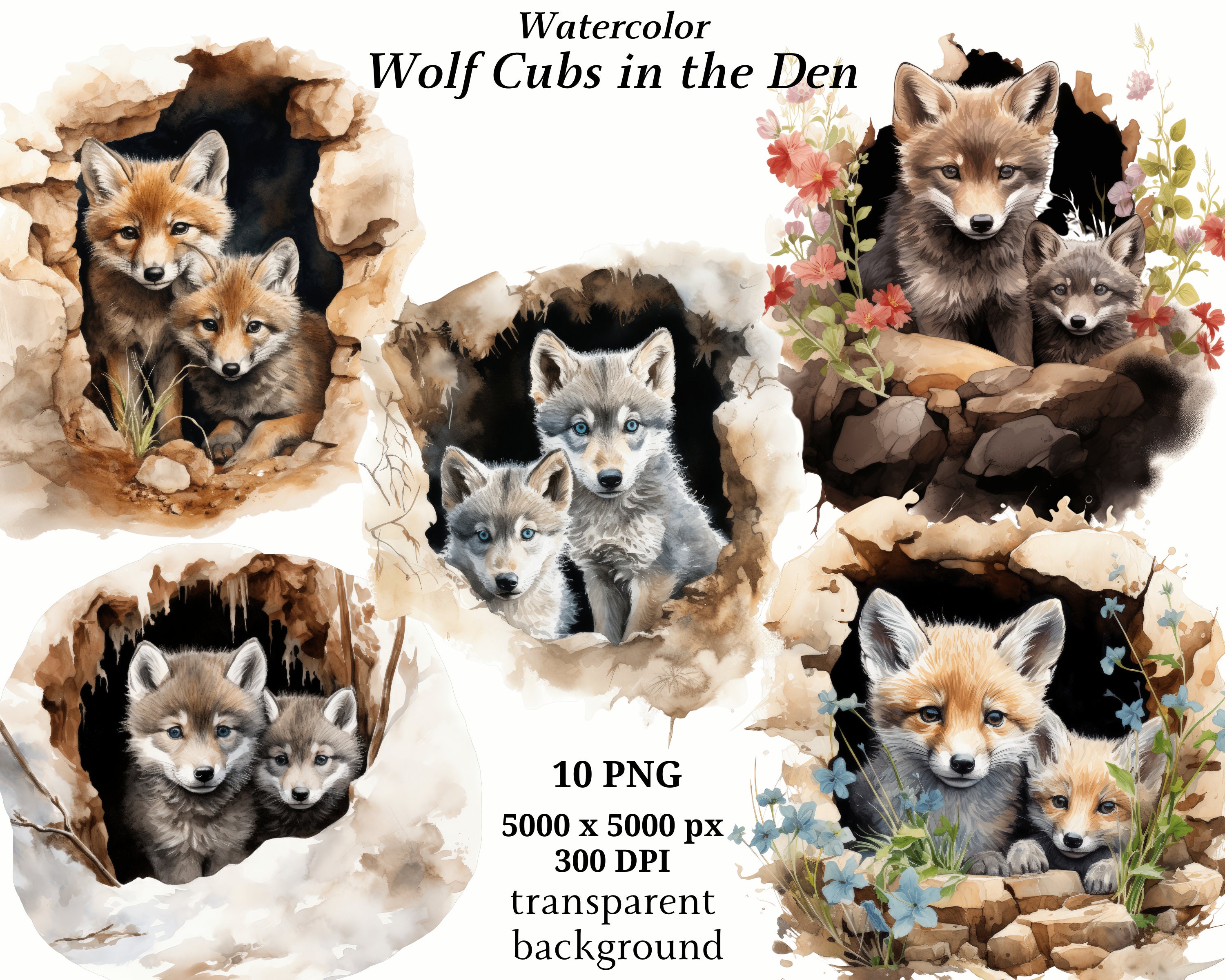 Wolf Cubs in the Den Clipart - 10 High Quality Pngs, Digital Download ...