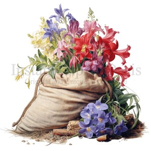 Sack & Wildflowers Clipart, 10 High Quality Pngs, Digital Download ...