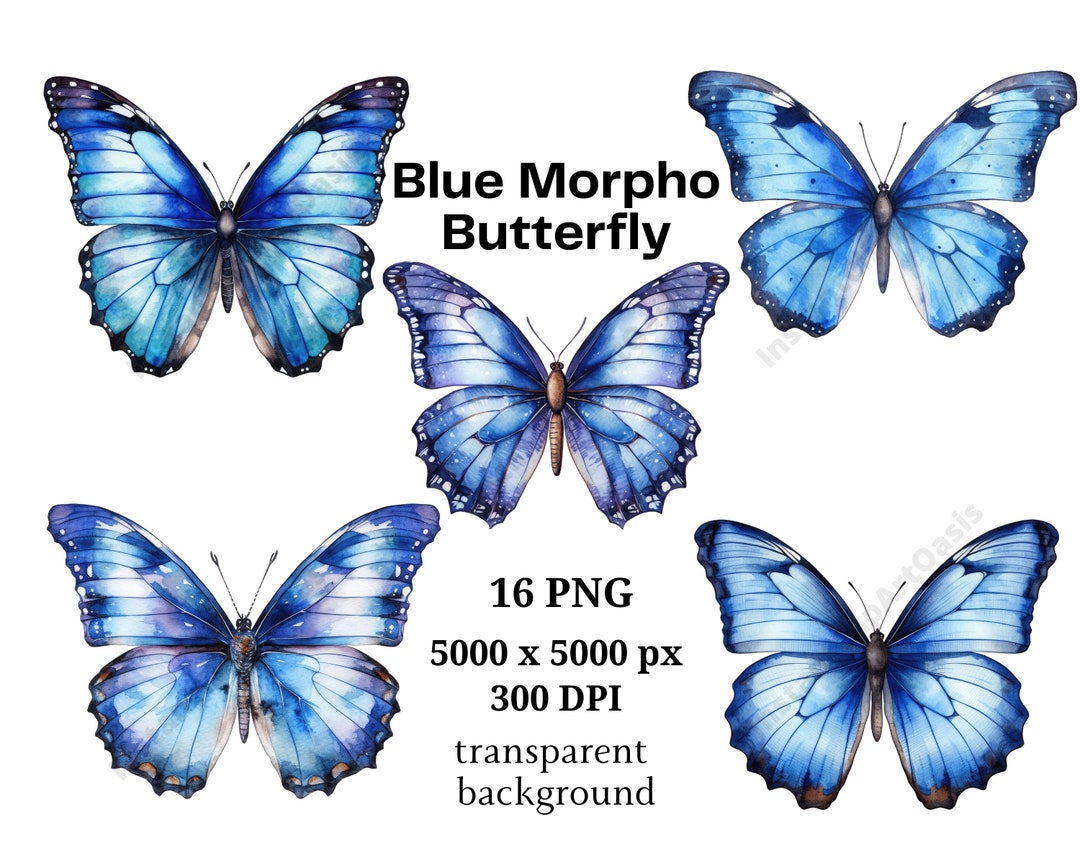 Blue Morpho Butterfly Clipart, 16 High Quality Pngs, Nursery Art | Card ...