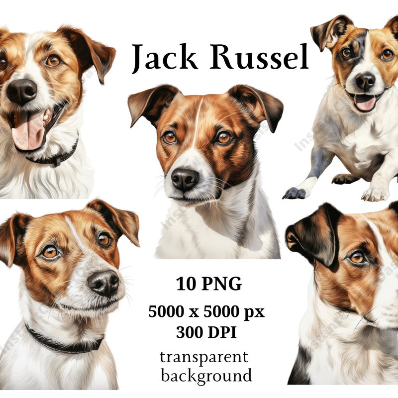 Jack Russell Art - Etsy