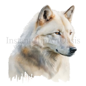 White Wolf Clipart, 10 High Quality Pngs, Nursery Art, Instant Digital ...