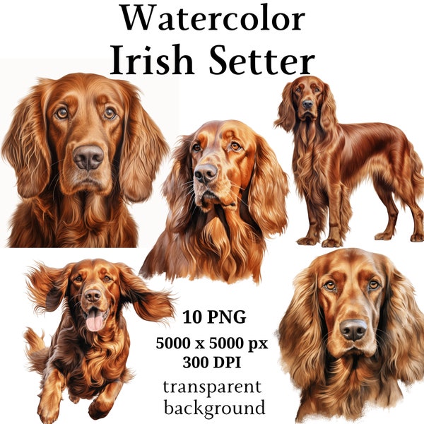 Irish Setter Art - Etsy