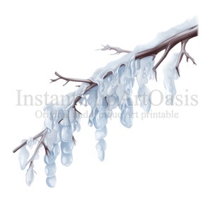 Branch & Icicles Clipart, 10 High Quality Pngs, Botanical Art, Digital ...