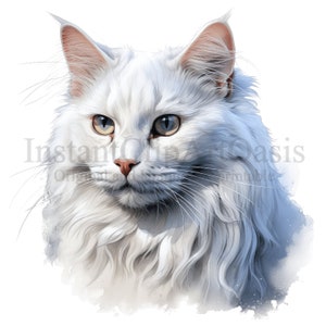 White Cats Clipart, 10 High Quality Pngs, Nursery Art, Digital Download ...