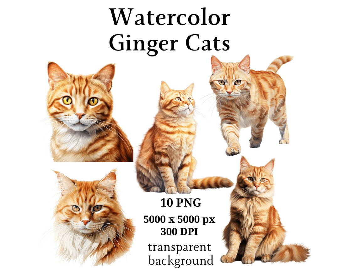 Ginger Cats Clipart, 10 High Quality Pngs, Nursery Art, Digital ...