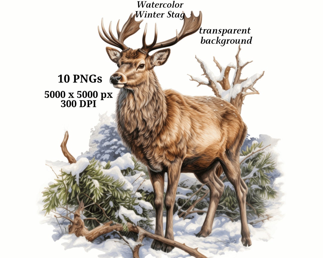 Winter Stag Clipart, 10 High Quality Pngs, Digital Download, Card ...