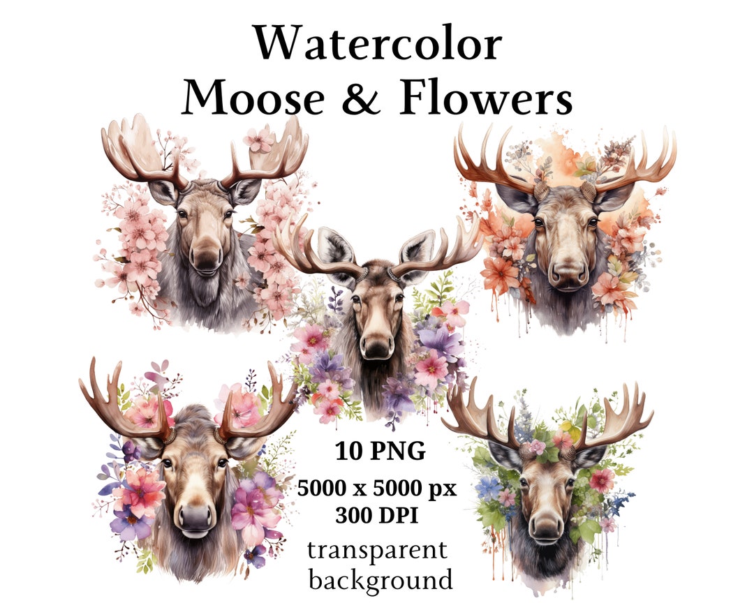 Moose and Flowers Clipart, 10 High Quality Pngs, Nursery Art, Digital ...