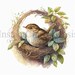 Wren Clipart, 10 High Quality Jpgs, Nursery Art, Instant Digital ...