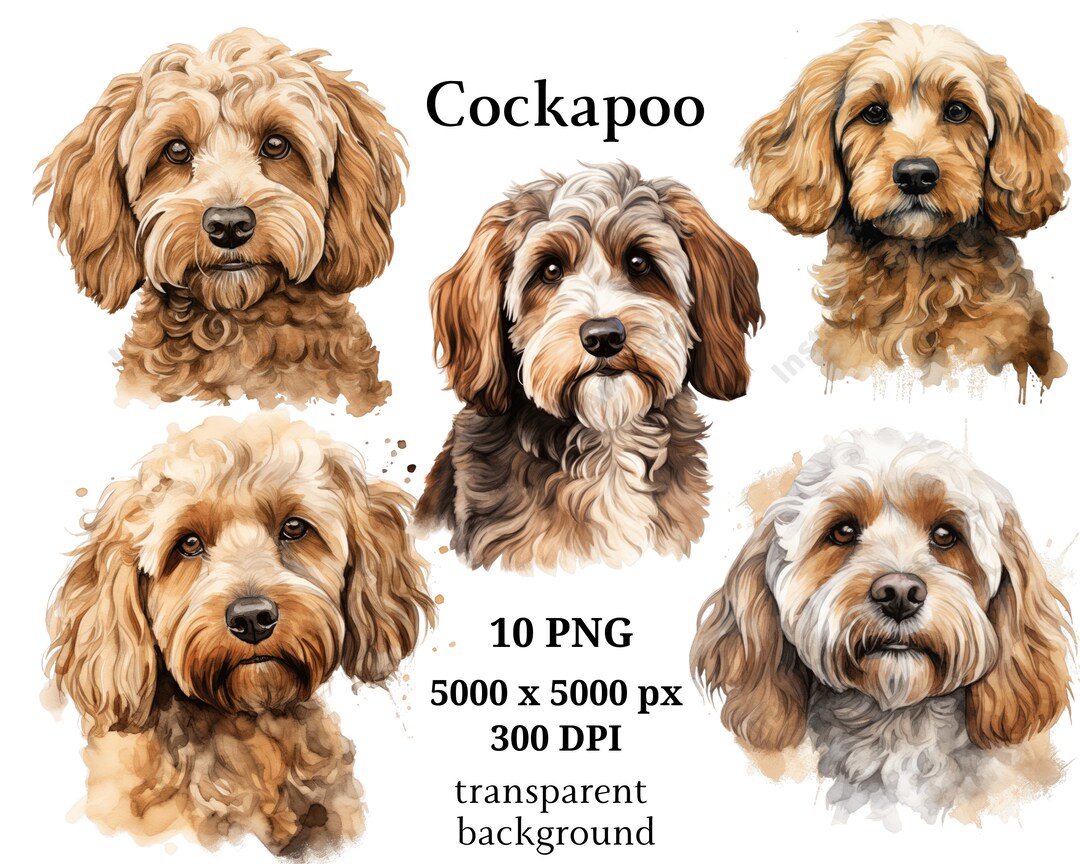 Cockapoo Clipart, 10 High Quality Pngs, Nursery, Digital Planner ...